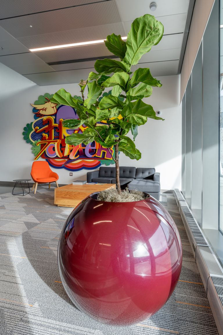 How To Choose Plants That Compliment Your Business Interior