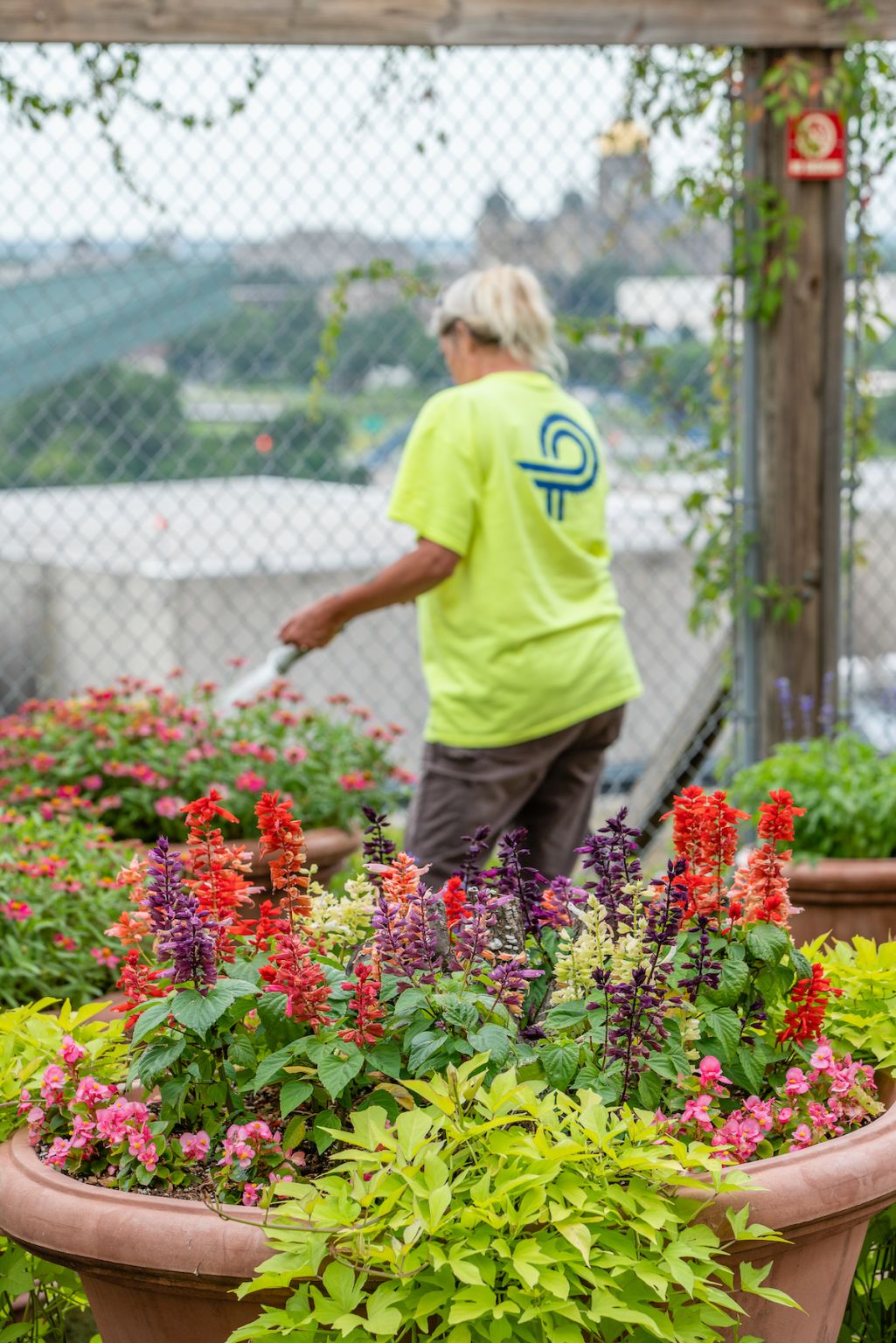 How to Create a Colorful Seasonal Planter | News | Perficut